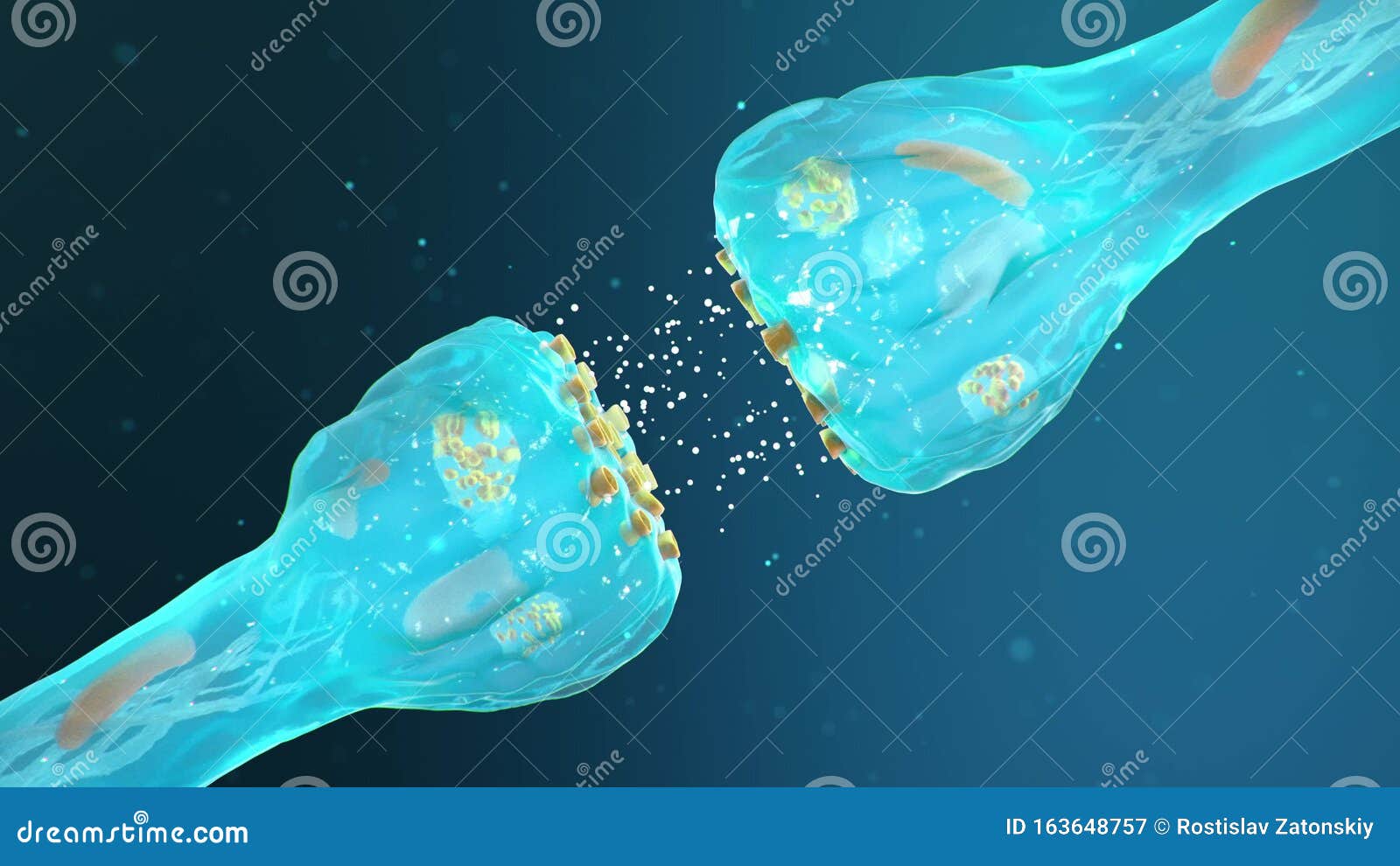 Synaptic Transmission, Human Nervous System. Brain Synapses Stock Video ...