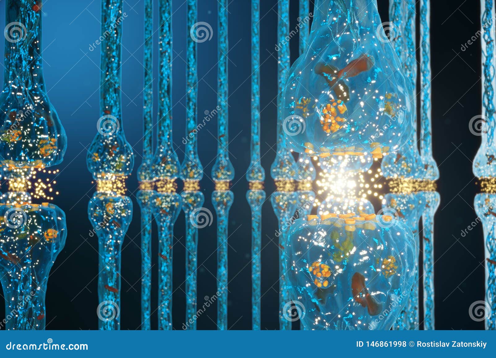 Synaptic Transmission, Human Nervous System. Concept Consciousness ...