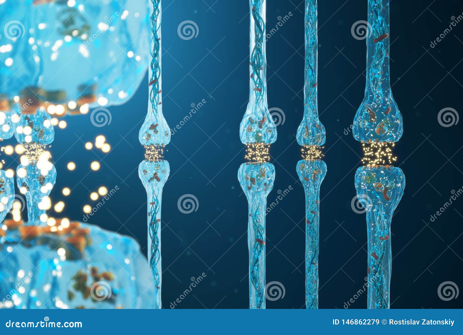 Synaptic Transmission, Human Nervous System. Concept Consciousness ...