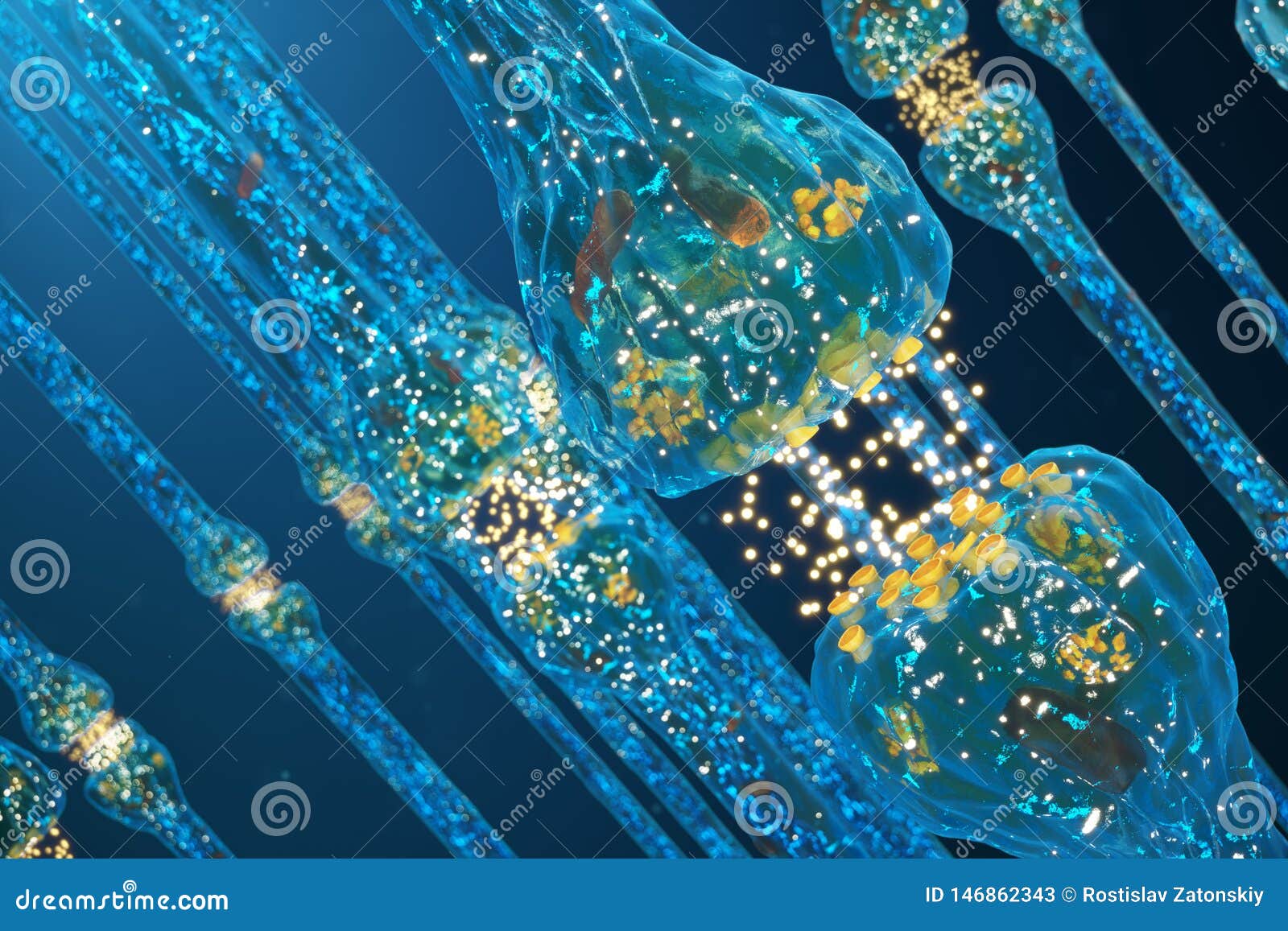 Synaptic Transmission, Human Nervous System. Concept Consciousness ...