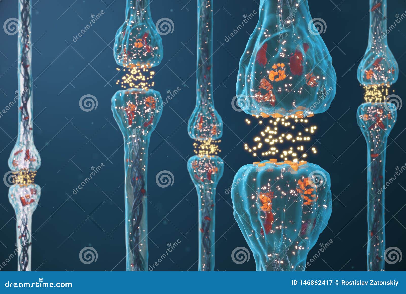 Synaptic Transmission, Human Nervous System. Concept Consciousness ... Synaptic Transmission, Human Nervous System. Concept Consciousness ...