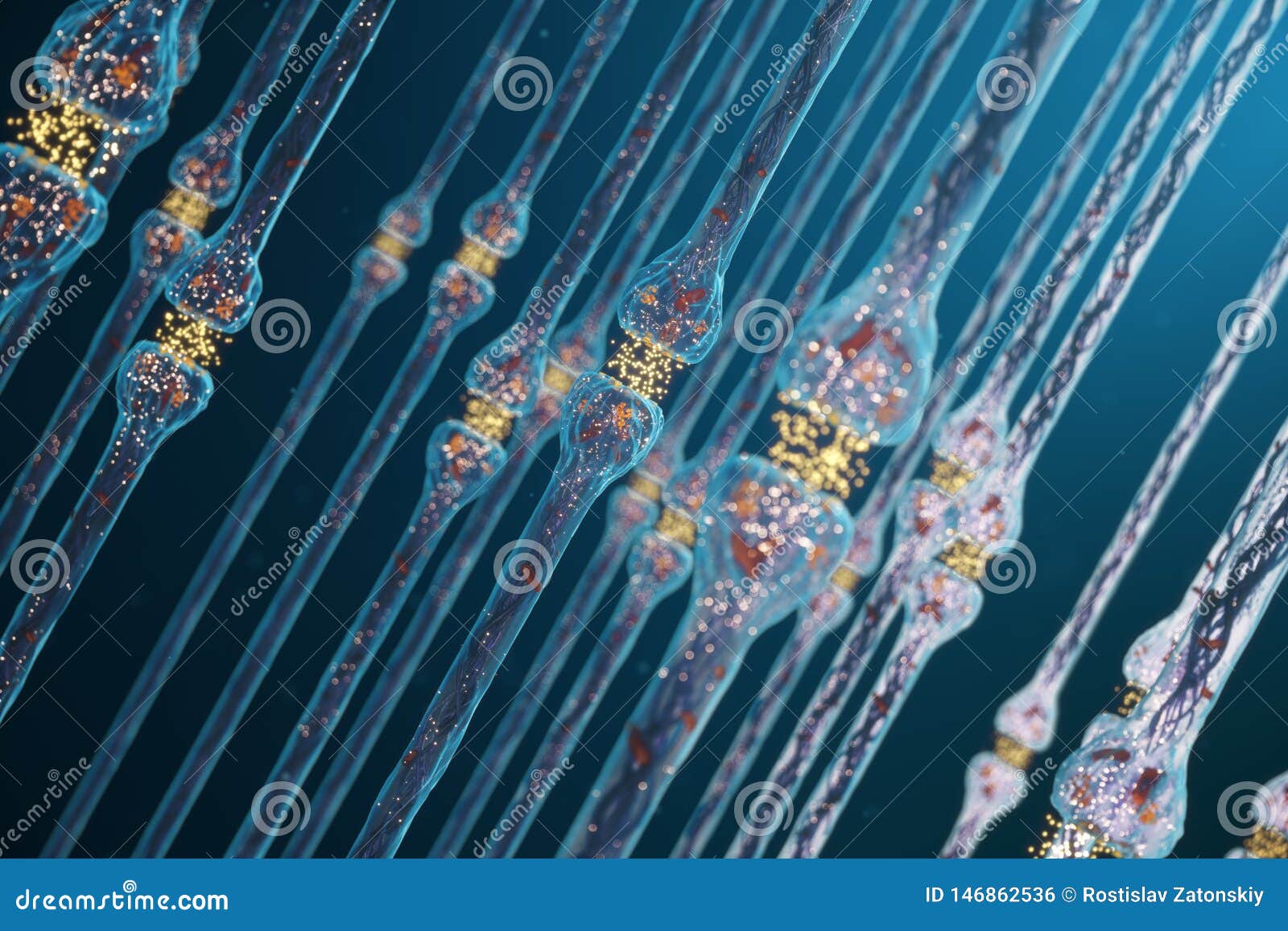 Synaptic Transmission, Human Nervous System. Concept Consciousness ...