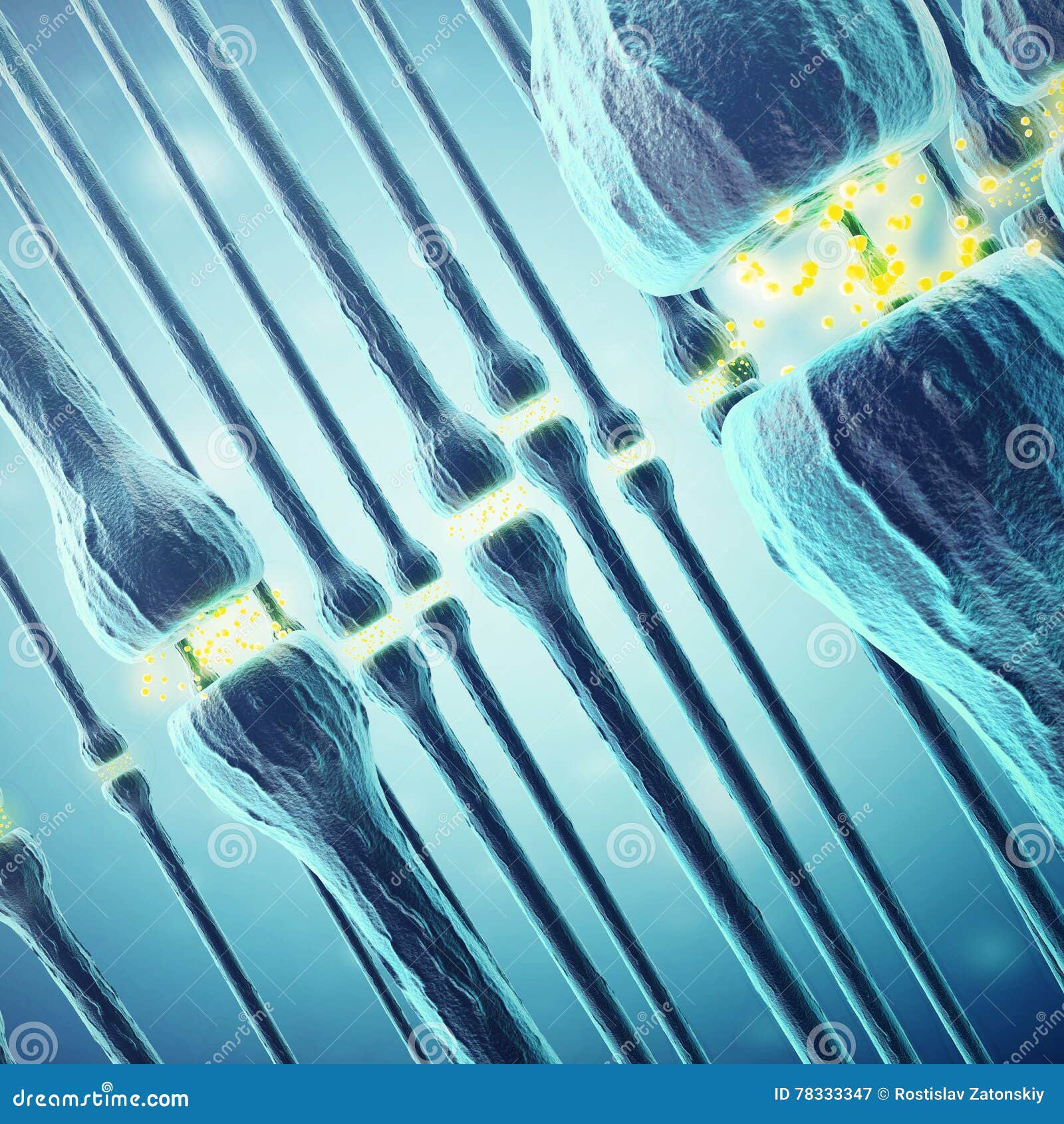 Synaptic Transmission, Human Nervous System. Concept Consciousness ...