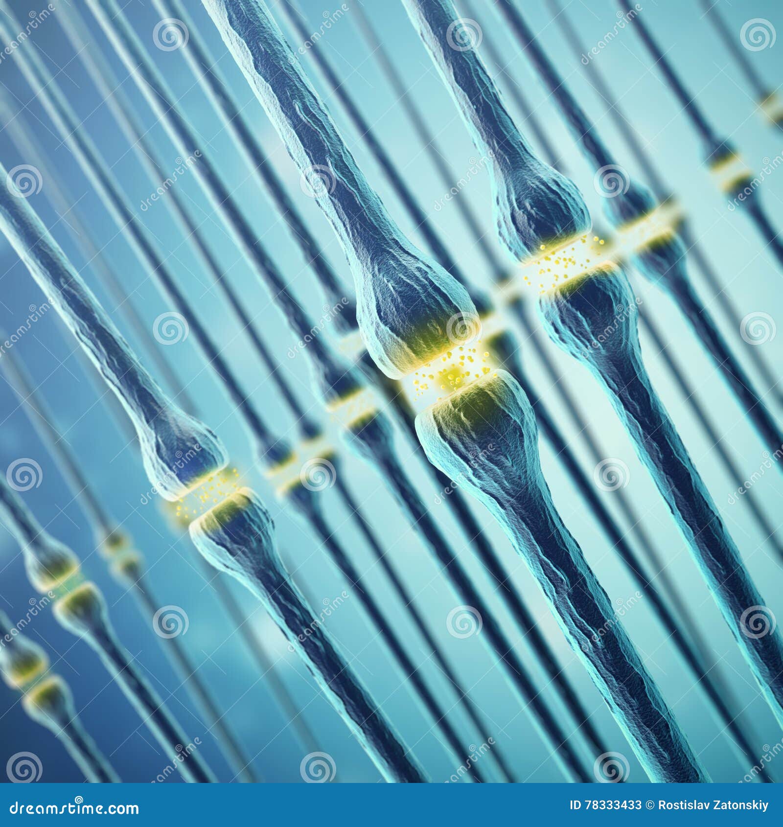 Synaptic Transmission, Human Nervous System. Concept Consciousness ...