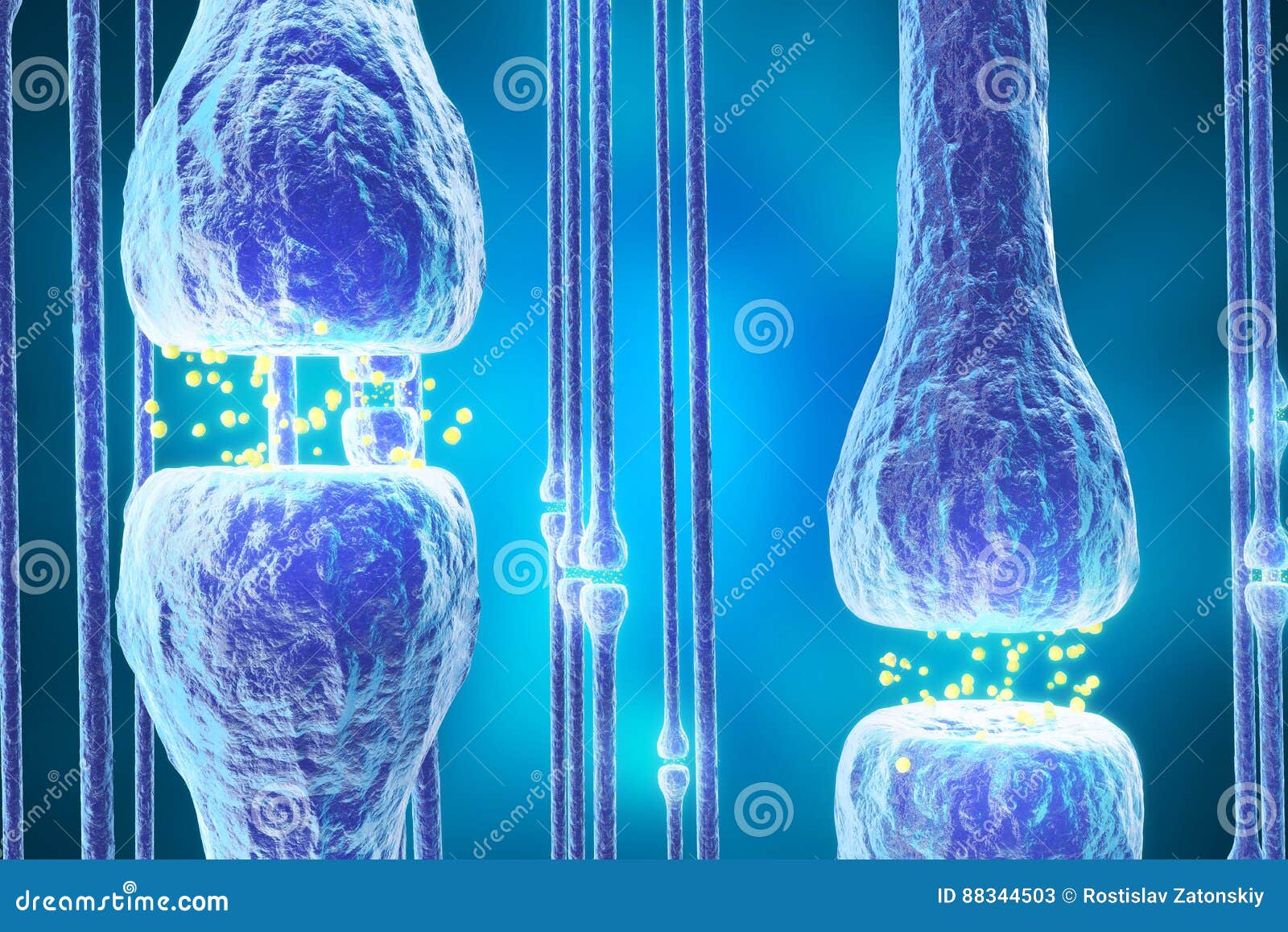 Synaptic Transmission, Human Nervous System. Concept Consciousness ...