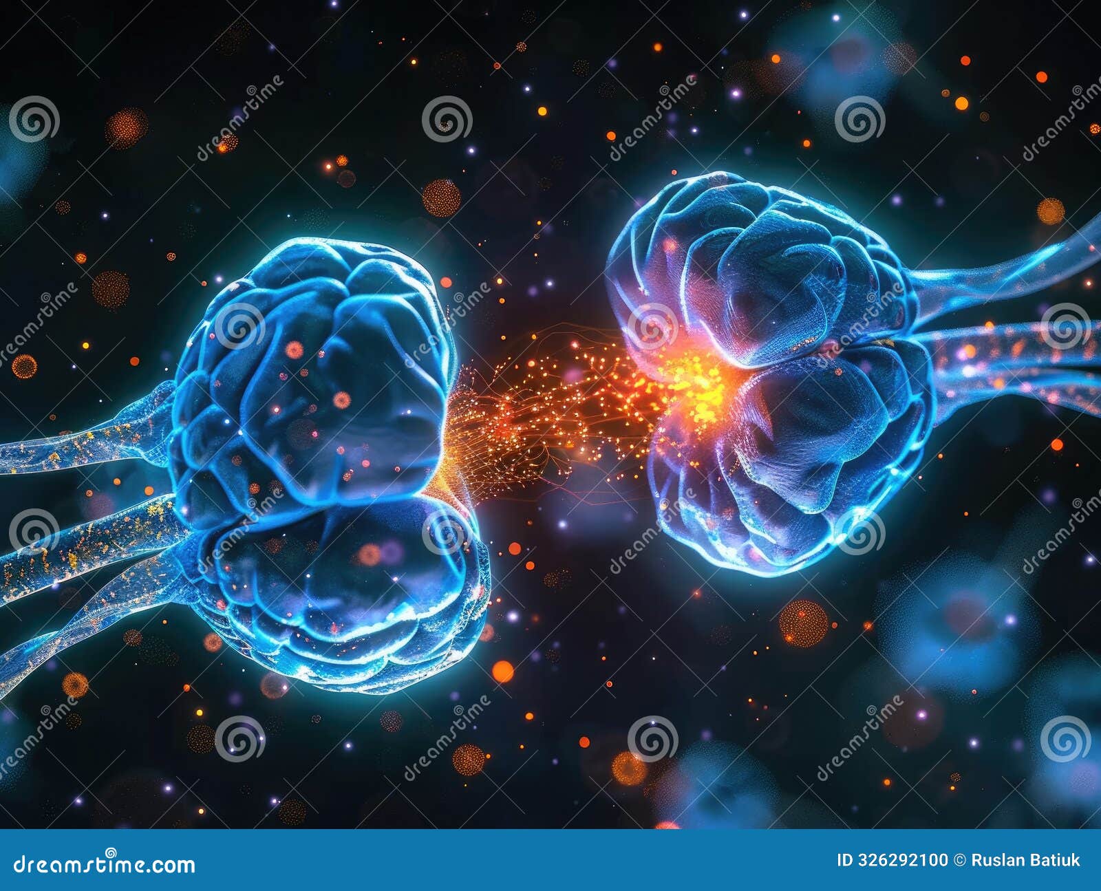 Synaptic Transmission: Nerve Synapse - Delving into the Dynamic Process ...