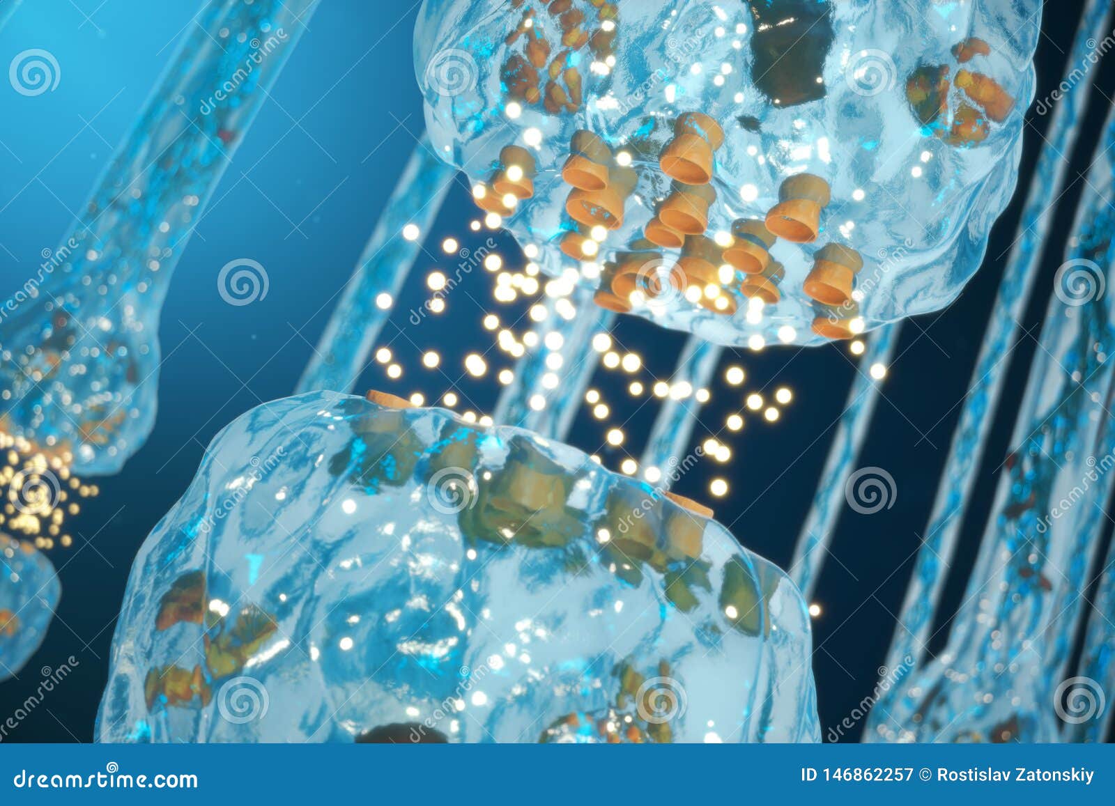 Synaptic Transmission, Nervous System Receptors. Concept Consciousness ...