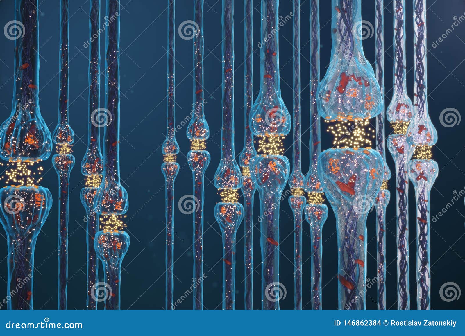 Synaptic Transmission, Human Nervous System. Concept Consciousness ...