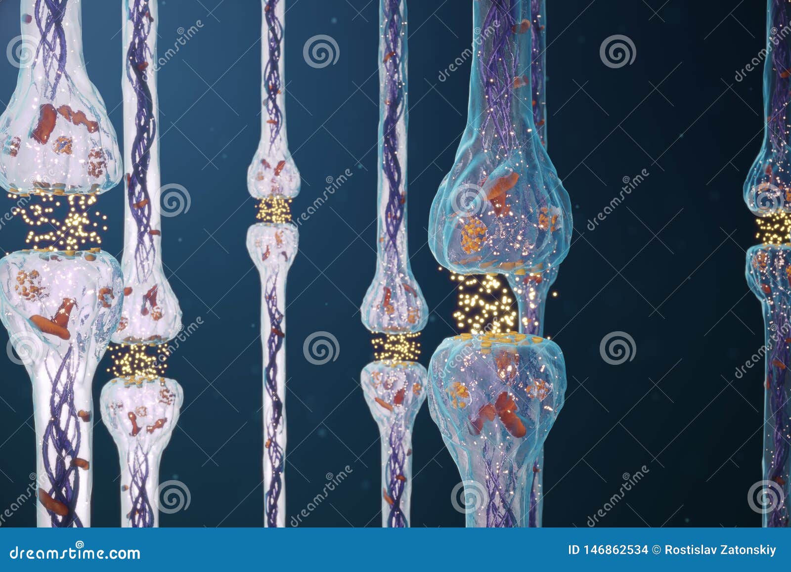 Synaptic Transmission, Nervous System Receptors. Concept Consciousness ...