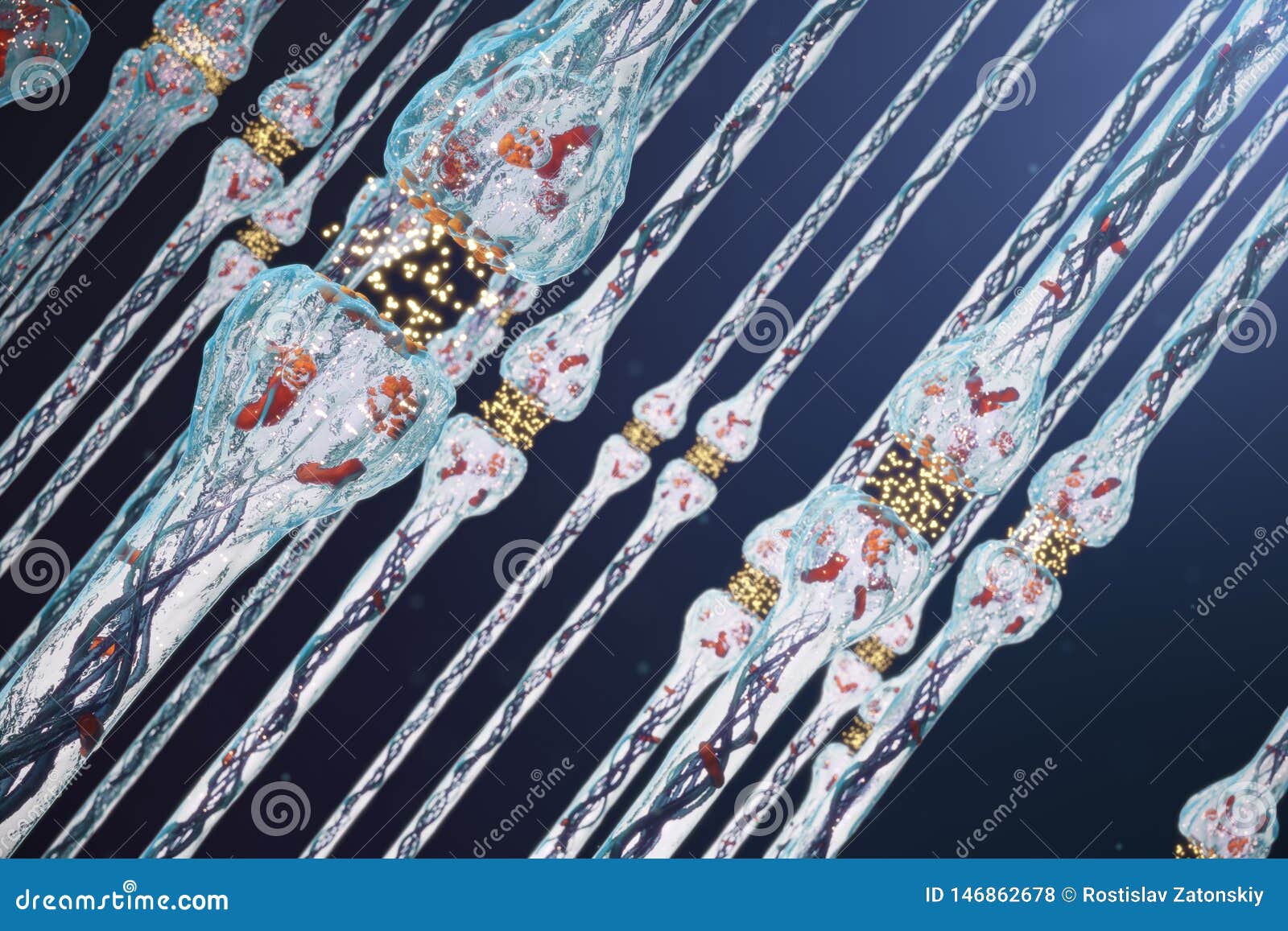 Synaptic Transmission, Nervous System Receptors. Concept Consciousness ...