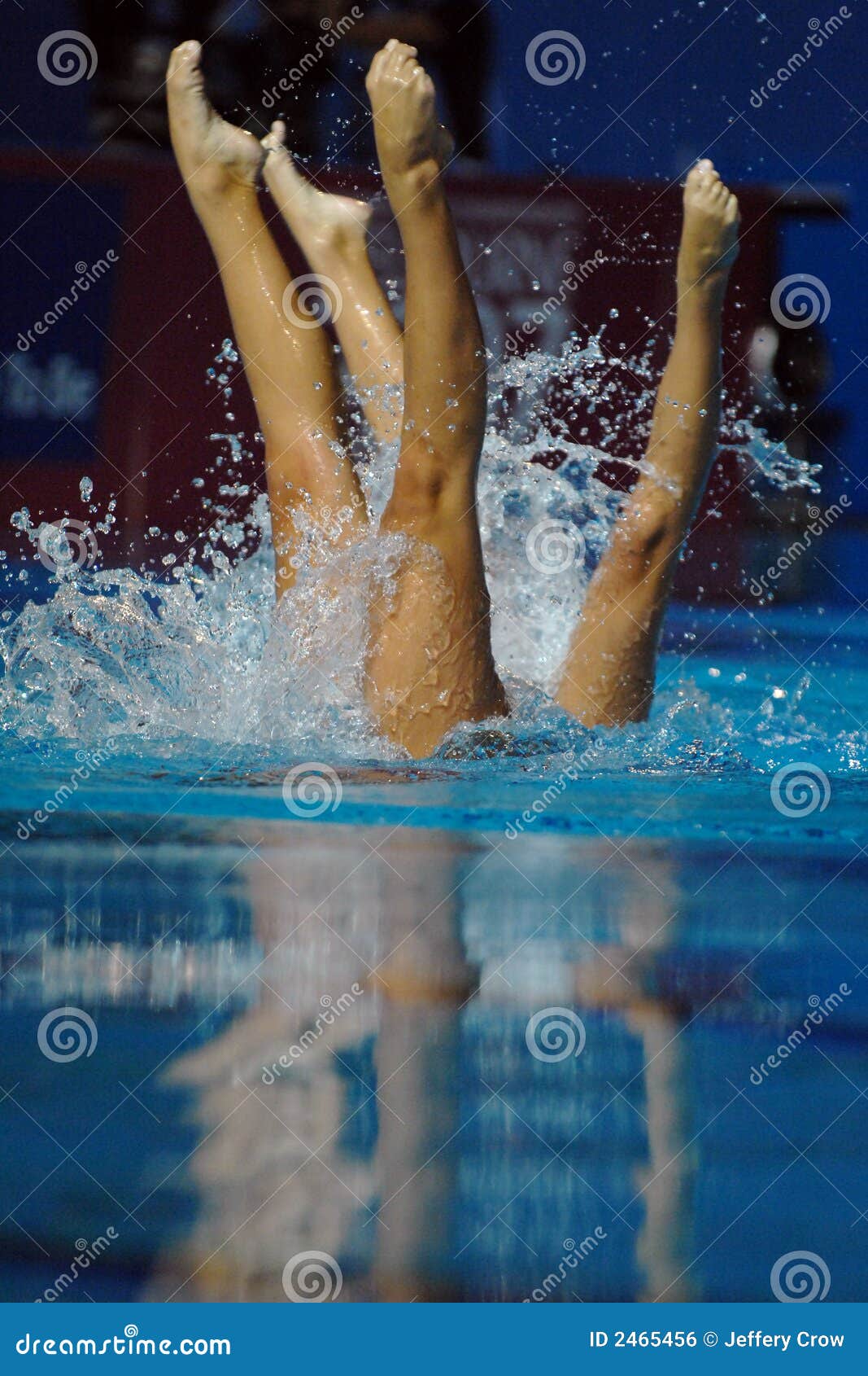 Synchro stock photo. Image of performance, woman, costume - 2465456