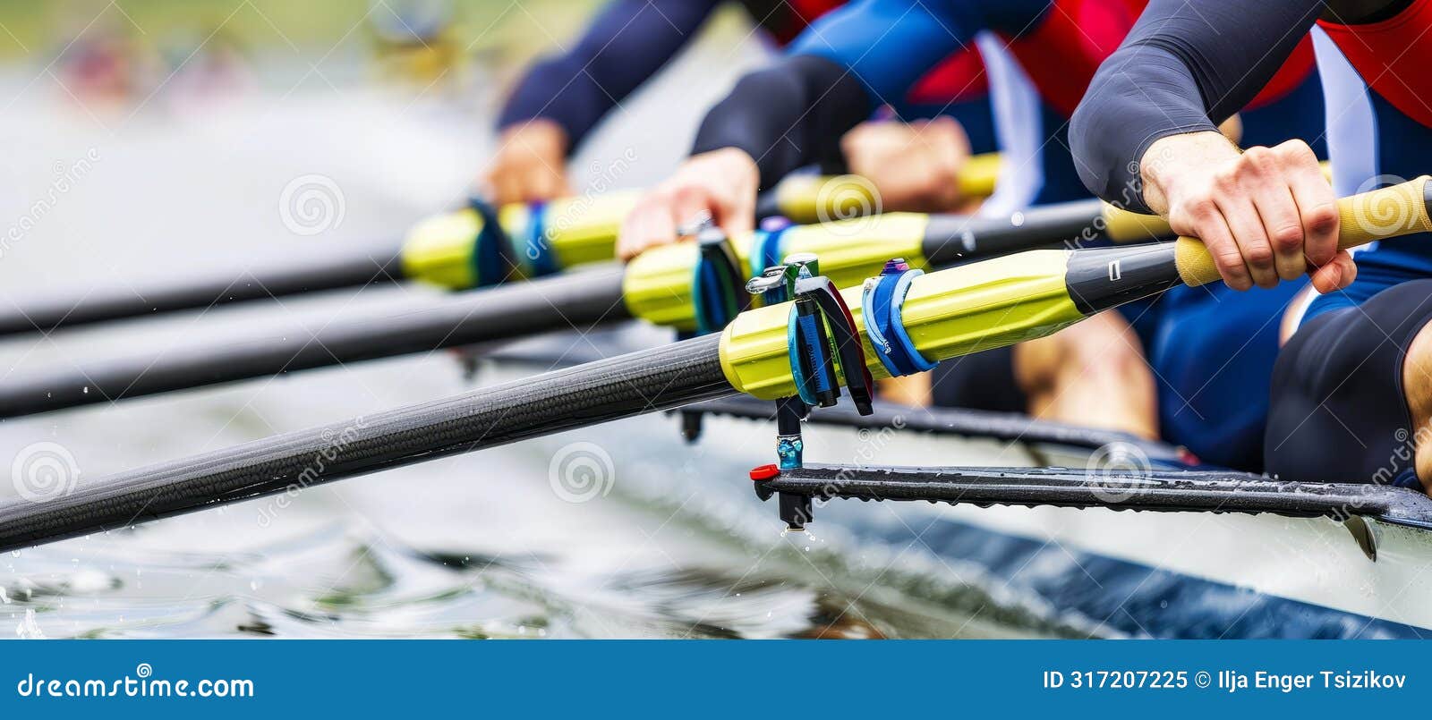 Synchronized Rowers Show Perfect Teamwork In Olympic Rowing ...
