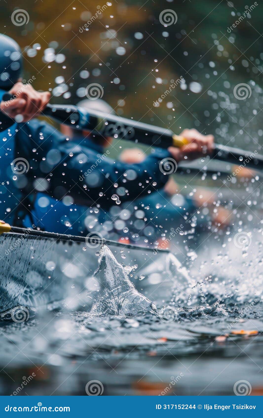 Synchronized Rowers Show Perfect Teamwork In Olympic Rowing ...