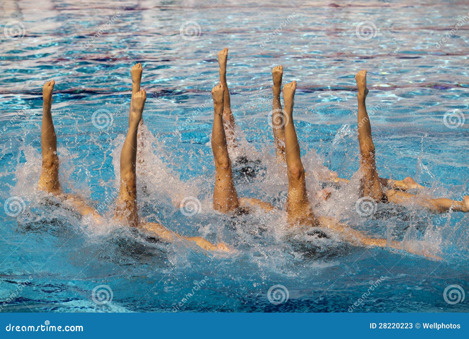 Synchronized swimmers stock image. Image of foot, sport - 28220223
