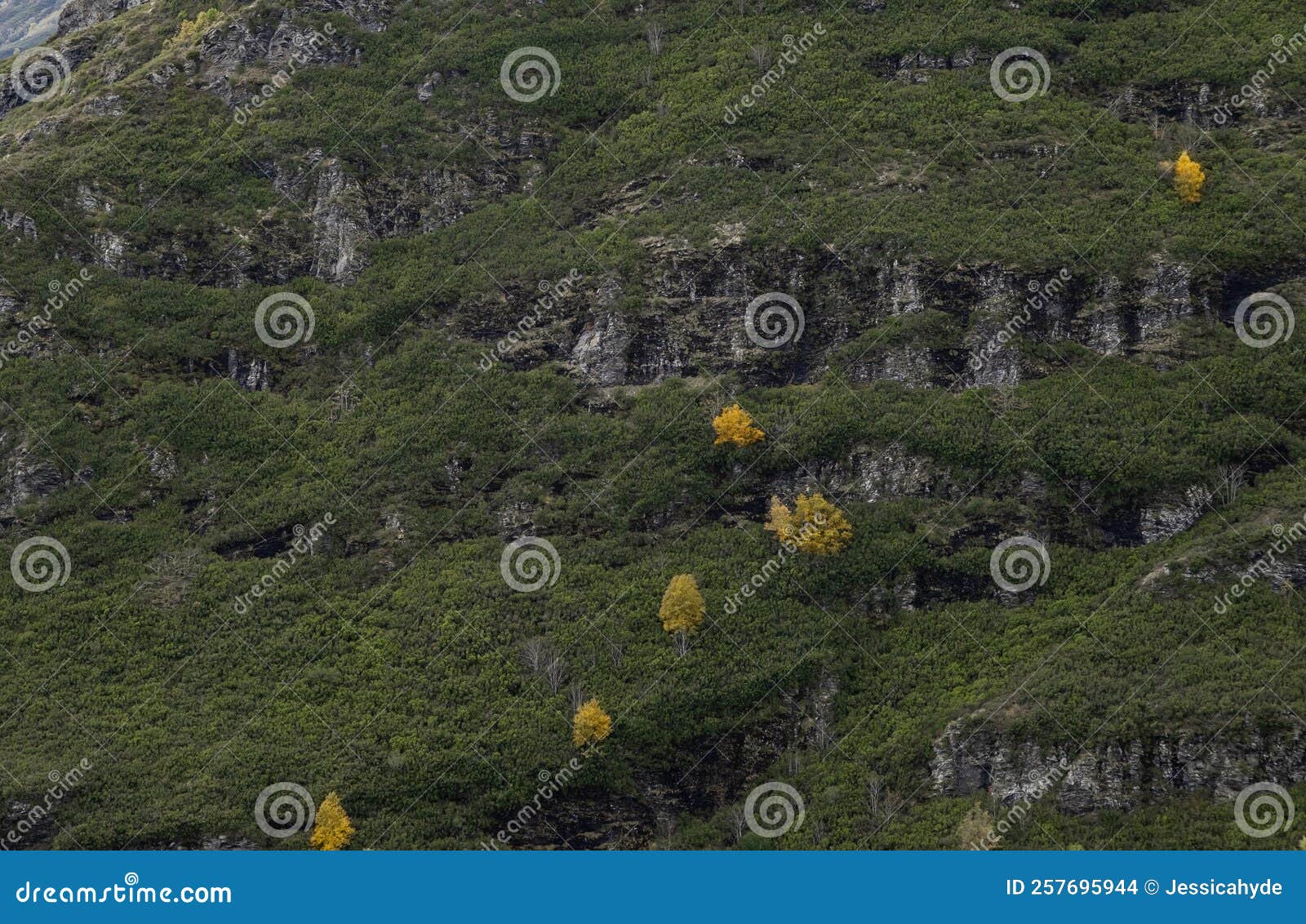 Synclinal Fold in the Mountains of Serra Do Courel Stock Photo - Image ...