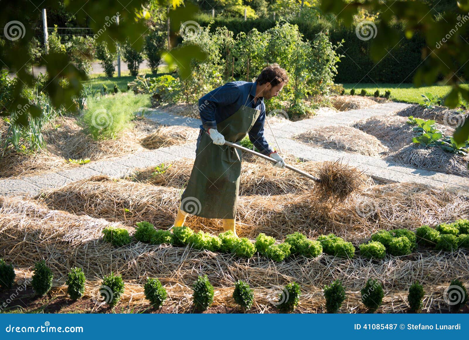 Synergistic Agriculture stock image. Image of mulching - 41085487