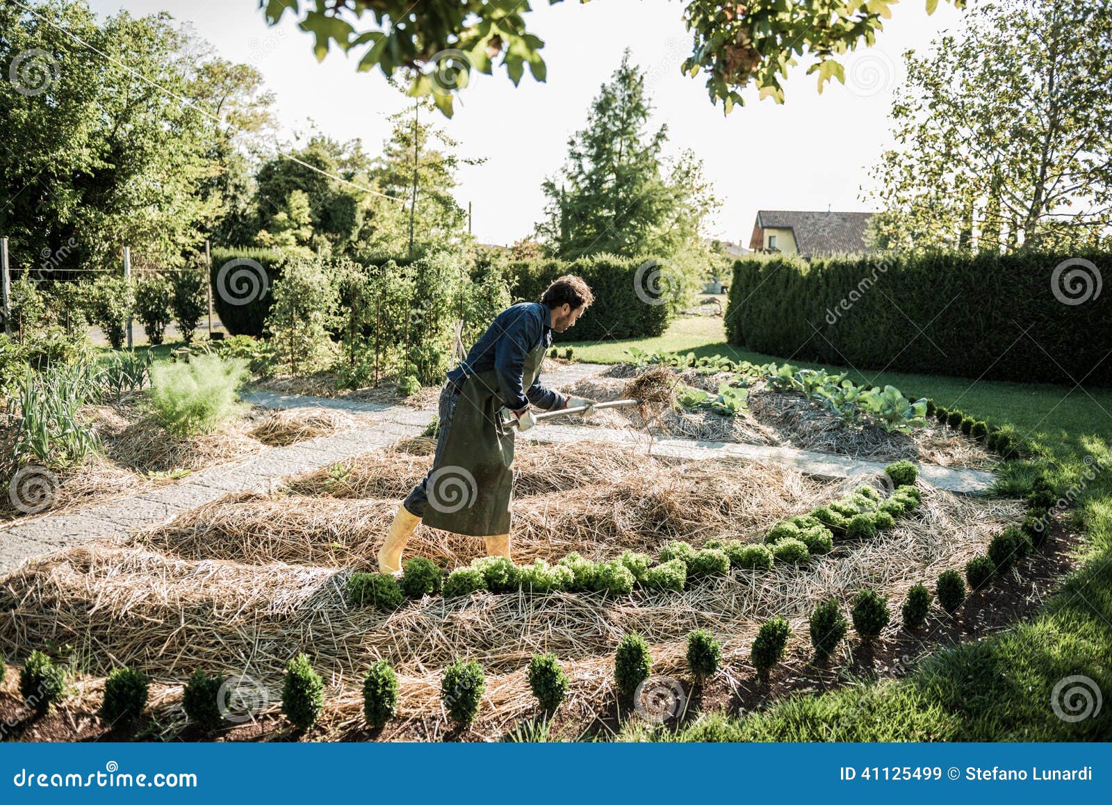 Synergistic Agriculture stock image. Image of brown, hair - 41125499
