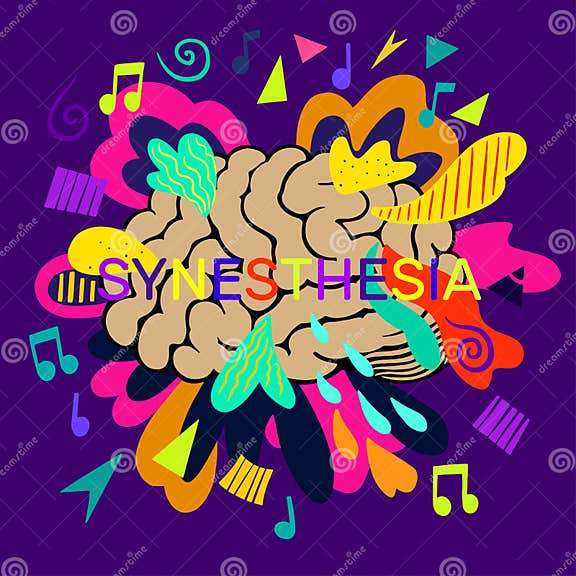 Synesthesia. Bright Concept of Human Brain, Notes and Colorful ...
