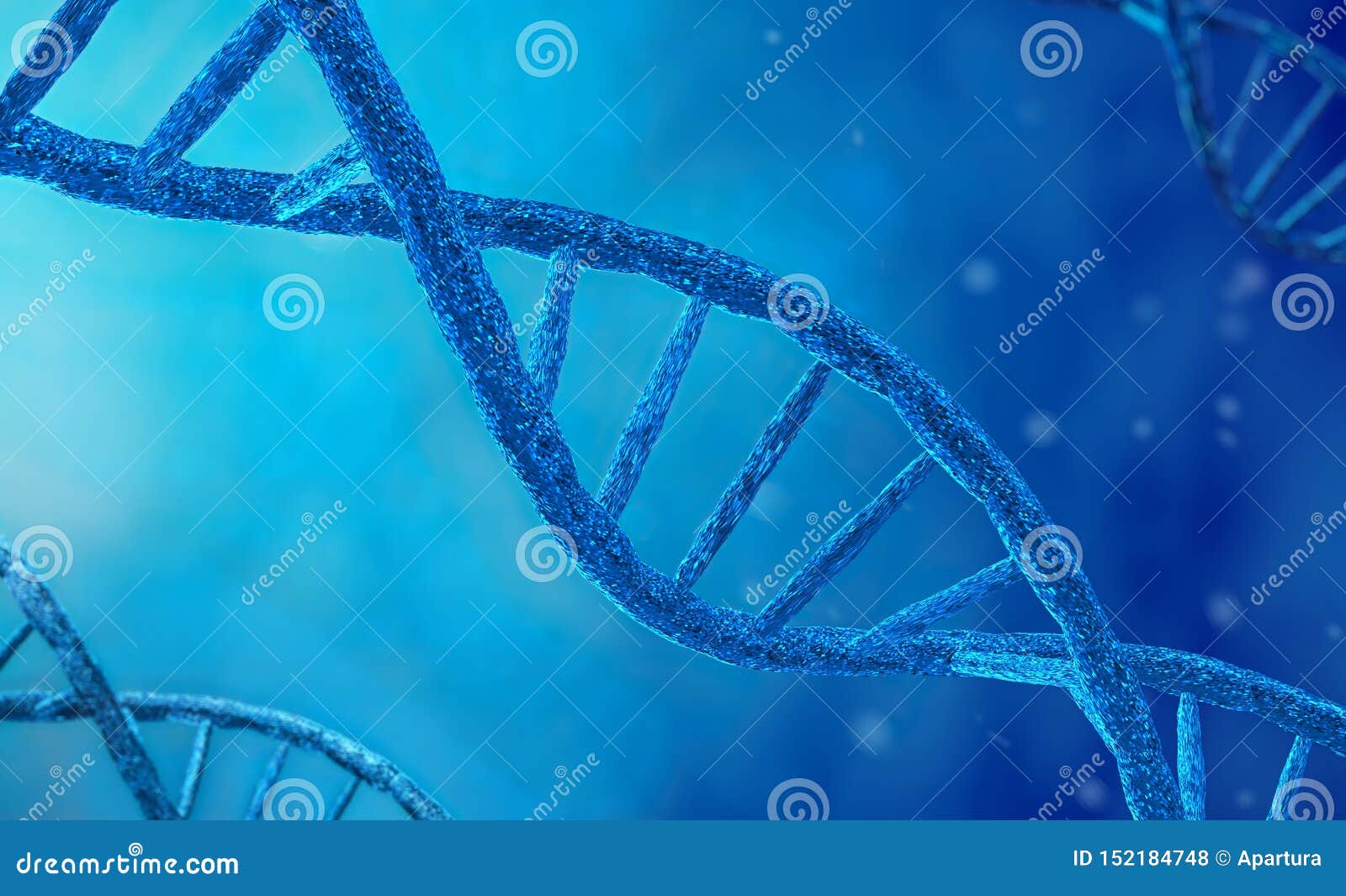 Synthesis of DNA, Replication, Modification and Mutation Process ...