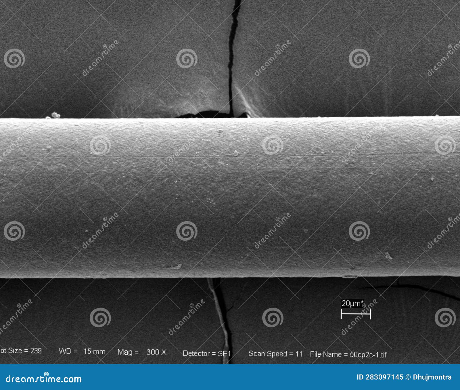 The Scanning Electron Micrograph of the Synthetic Fabric, Polymer ...
