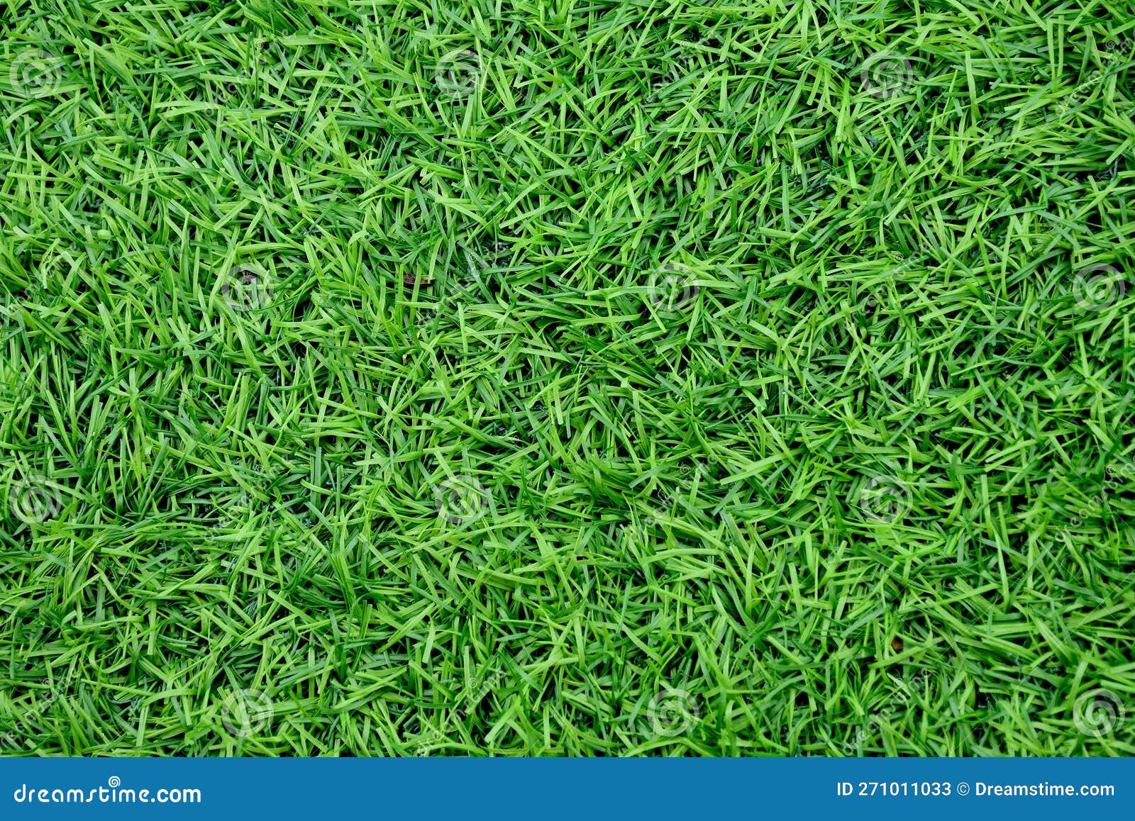 Synthetic Grass Texture and Background with Detail Stock Image - Image ...