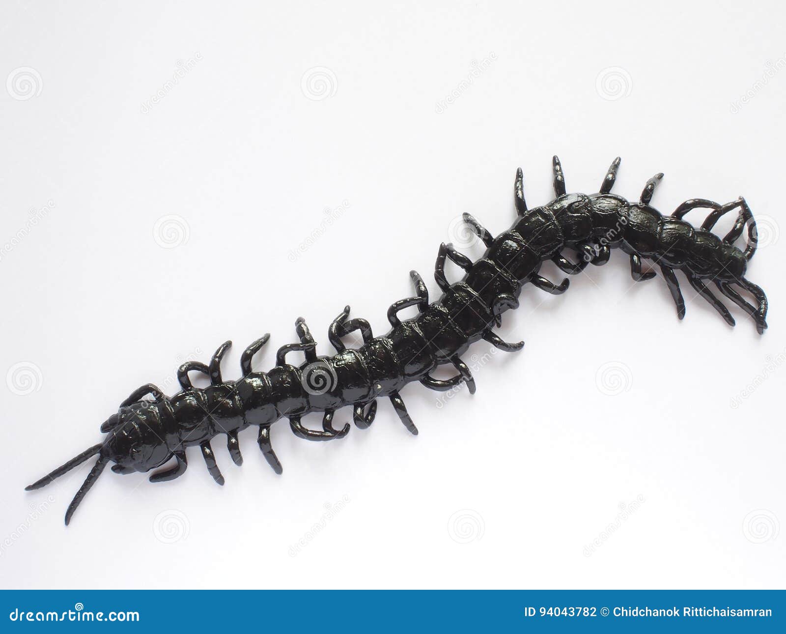 Synthetic rubber centipede stock photo. Image of product - 94043782