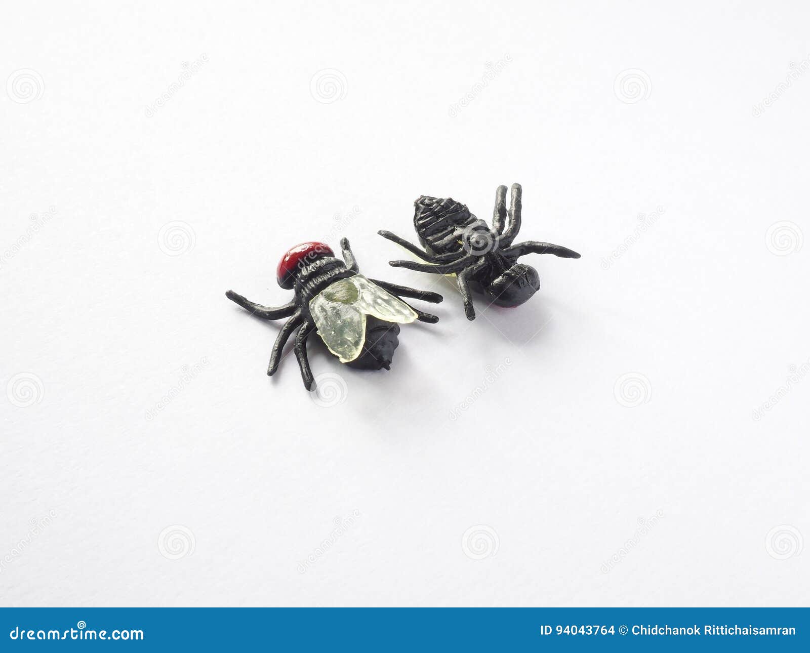 Synthetic rubber fly stock photo. Image of parent, life - 94043764
