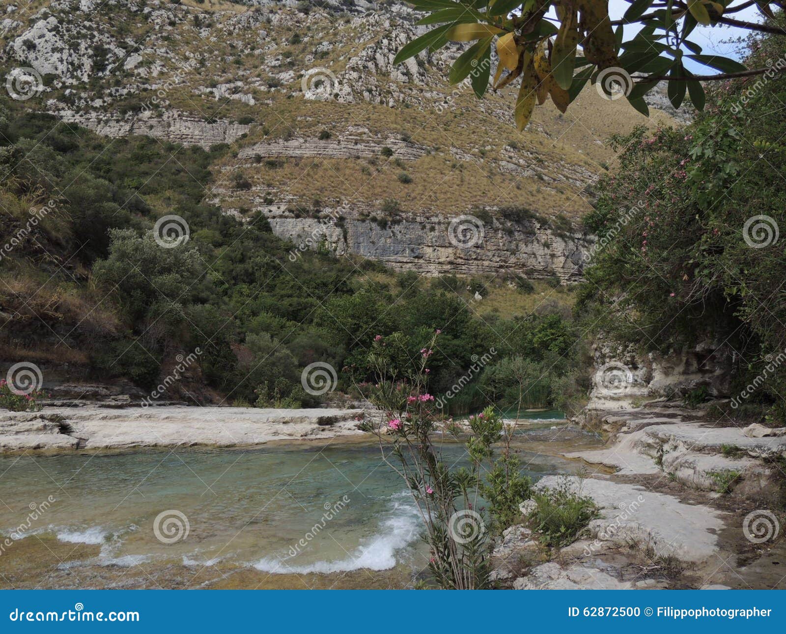 Nature Reserve Cavagrande Del Cassibile Stock Photo - Image of tree ...