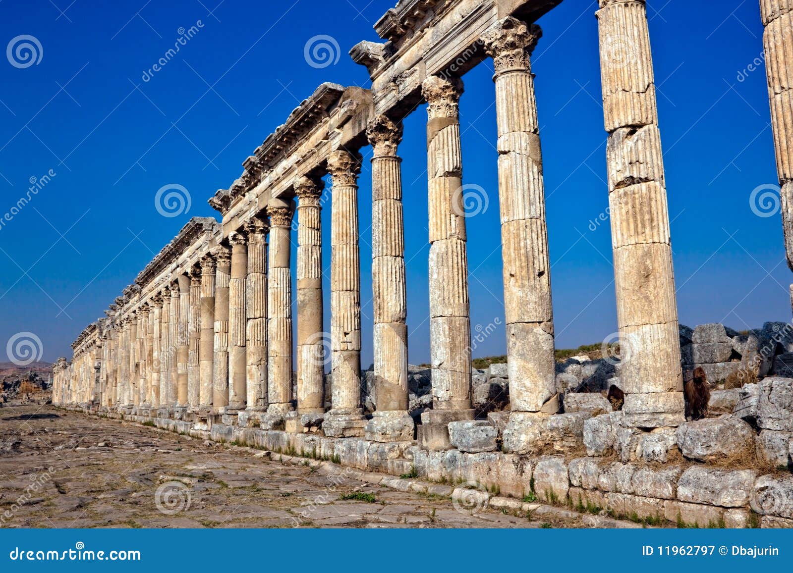 Syria - Apamea stock image. Image of historic, afamia - 11962797
