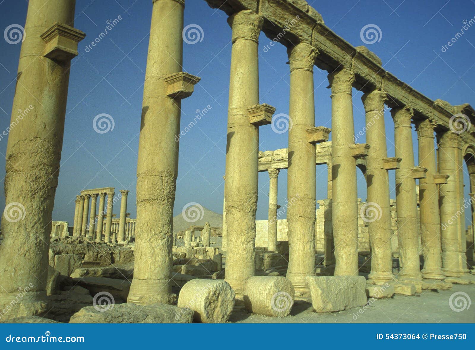 SYRIA PALMYRA ROMAN RUINS editorial stock image. Image of history ...
