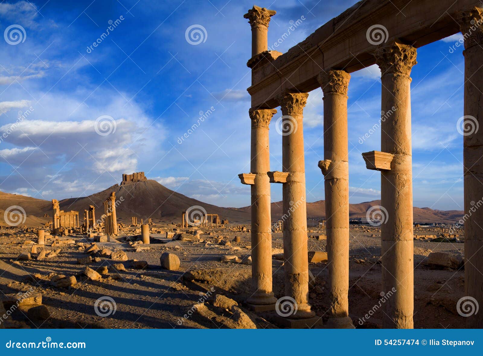 Syria . Palmyra. stock photo. Image of fossil, locations - 54257474