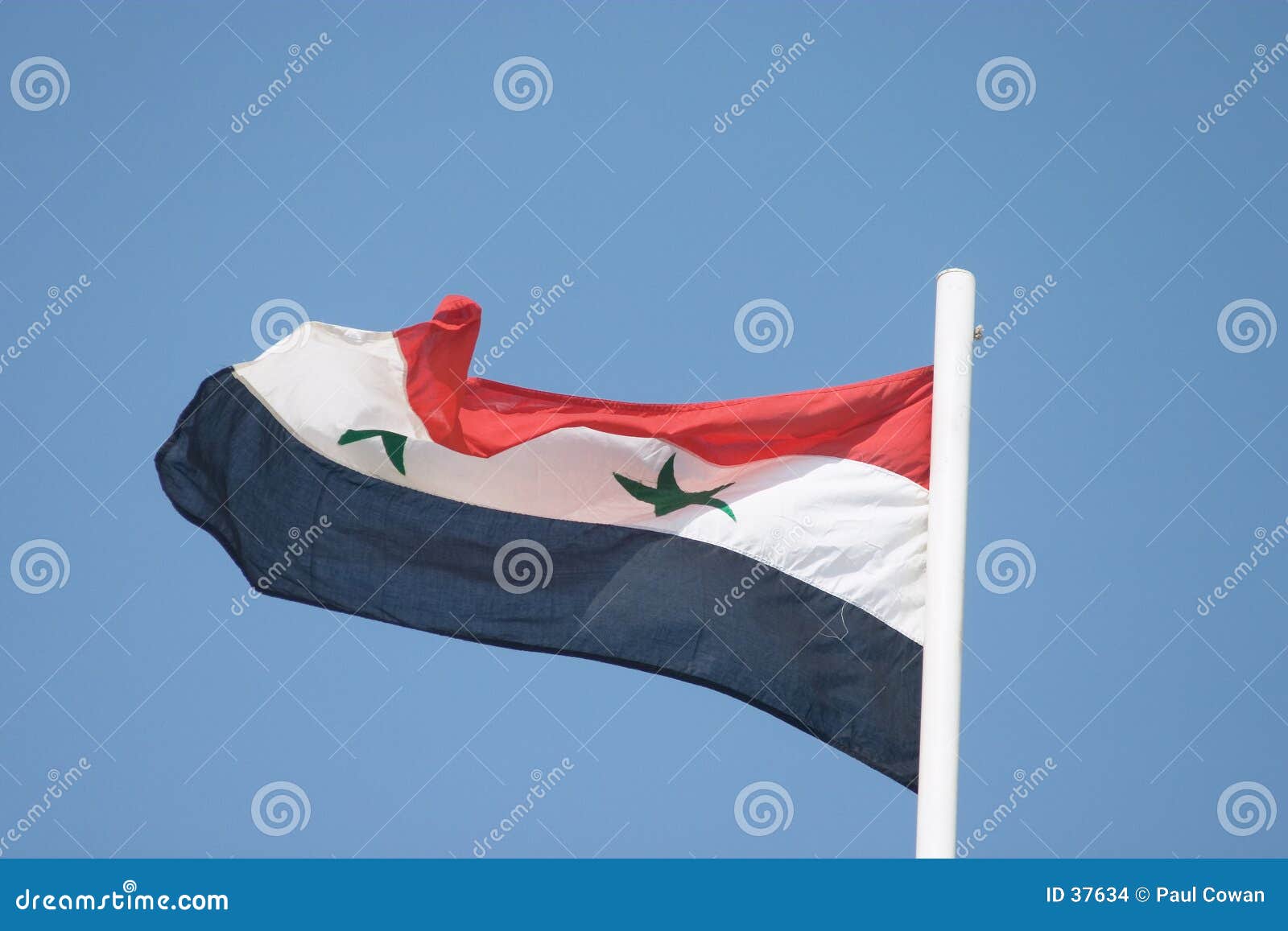 Syrian flag stock photo. Image of arab, syrian, damascus - 37634