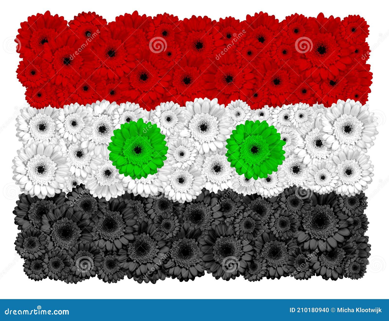 Syrian Flag Made of Gerbera Flowers Stock Illustration - Illustration ...