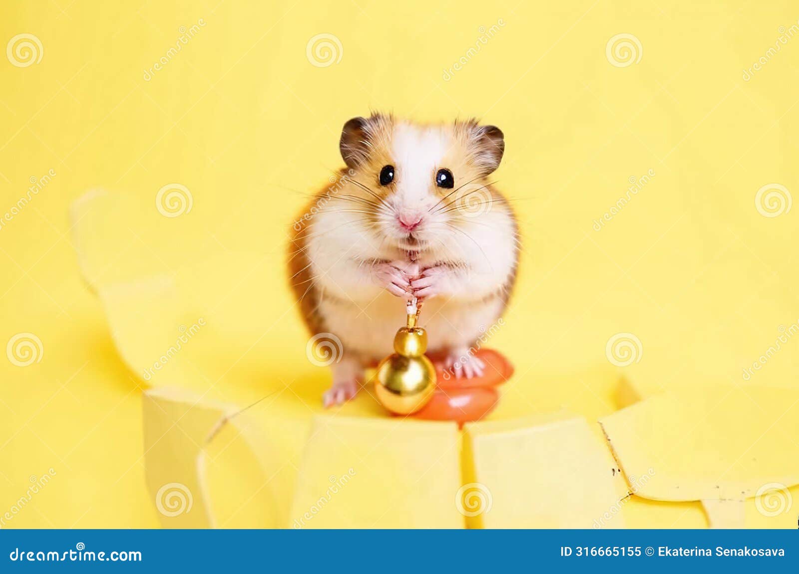 Syrian Hamster Cartoon Clipart. Golden Hamster Vector Illustration In ...