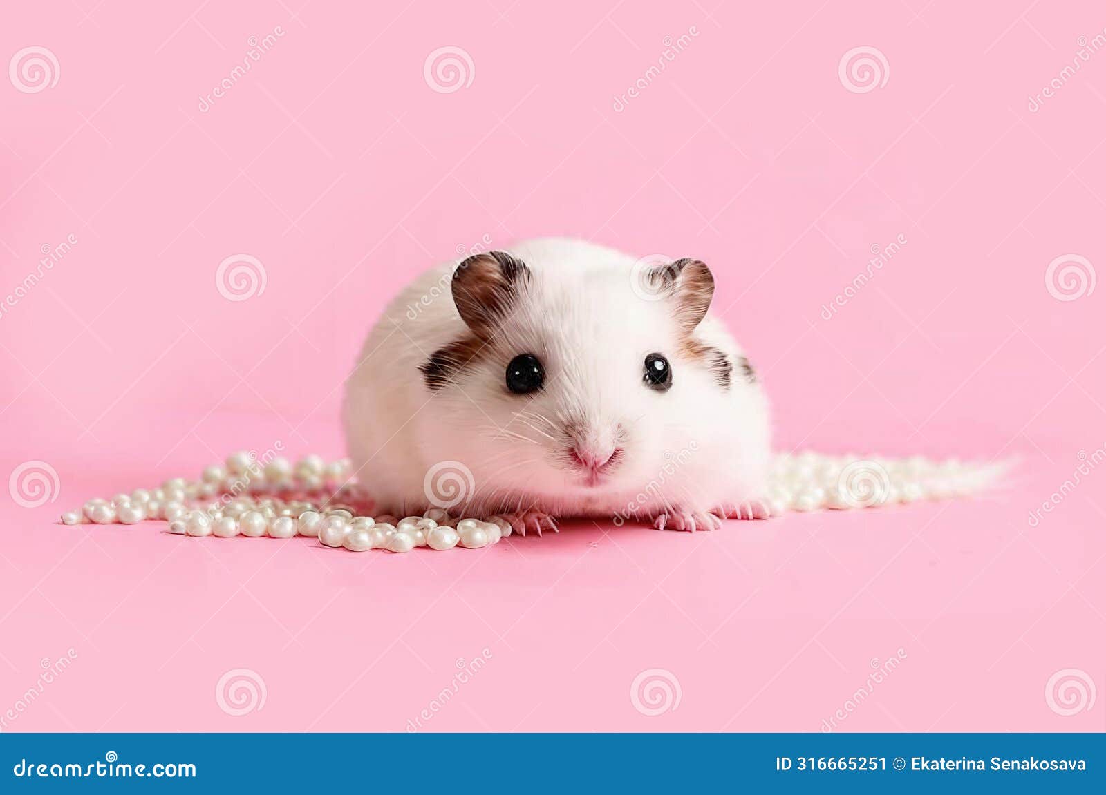 Syrian Hamster Cartoon Clipart. Golden Hamster Vector Illustration In ...