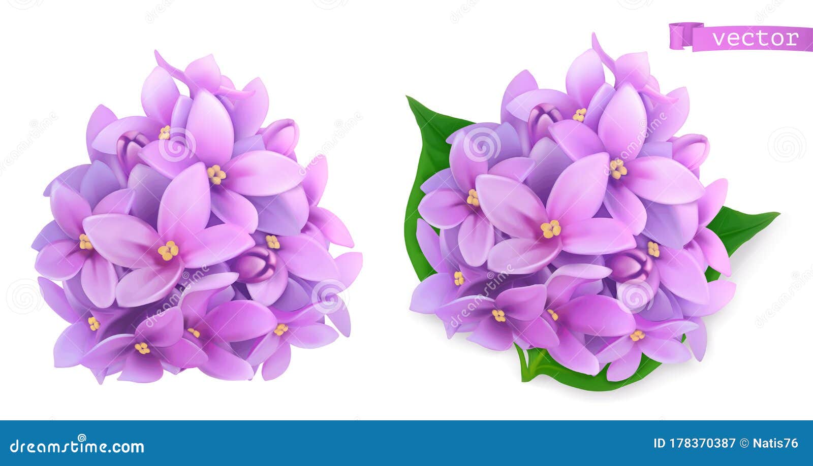 Syringa Flowers, Lilac. 3d Realistic Vector Icon Stock Vector ...