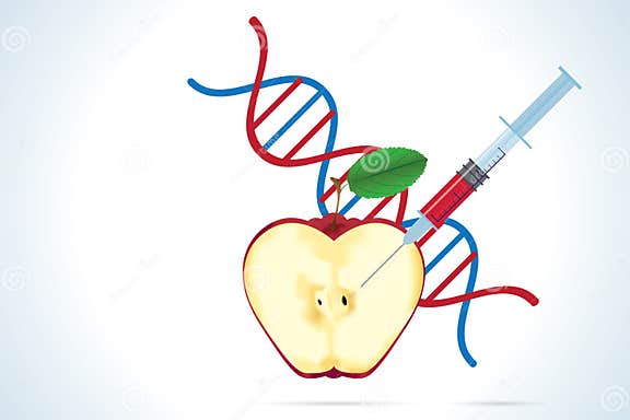 Syringe with Apple and Dna Molecule Stock Vector - Illustration of ...