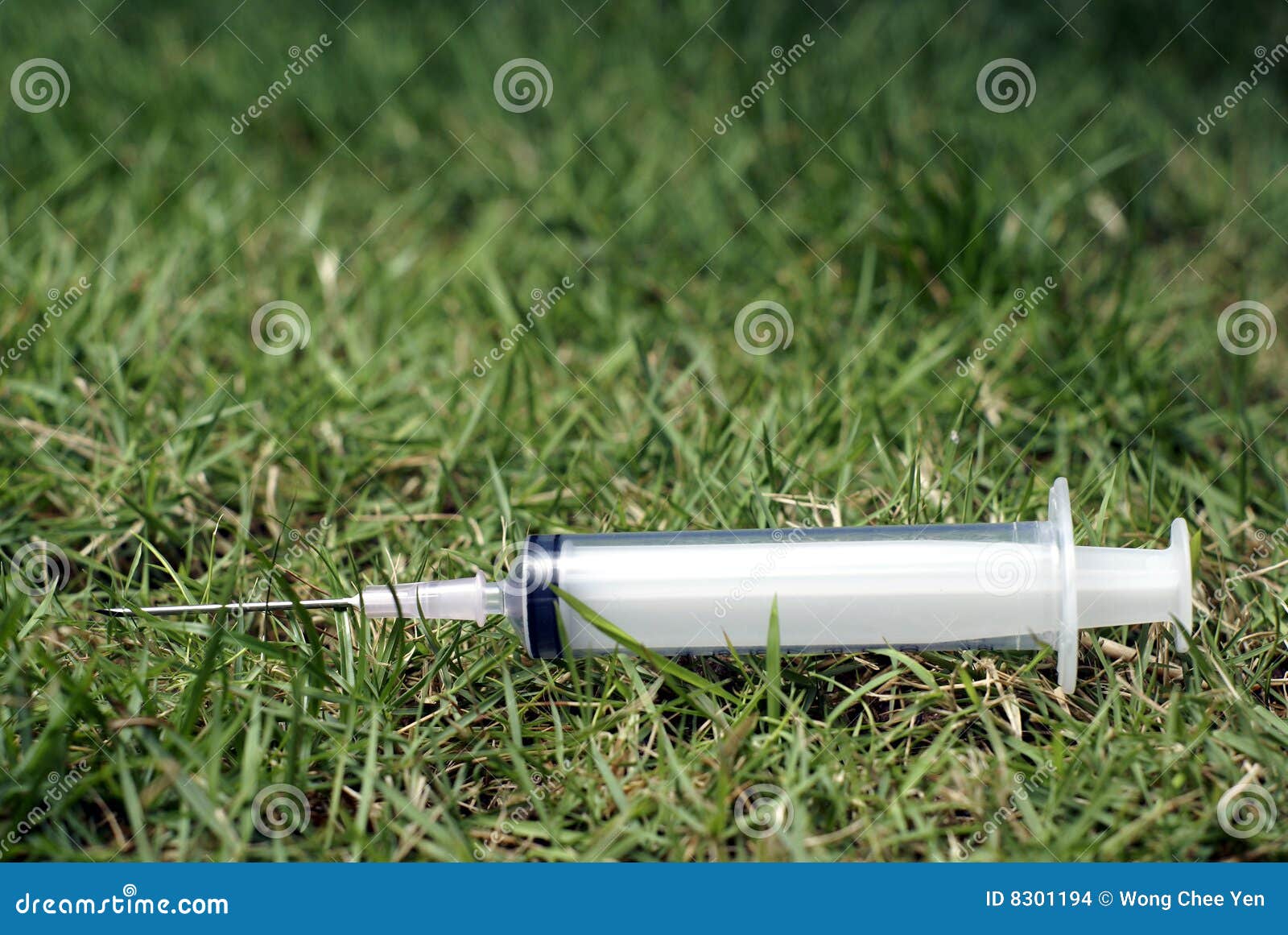 Syringe discarded in grass stock photo. Image of risky - 8301194