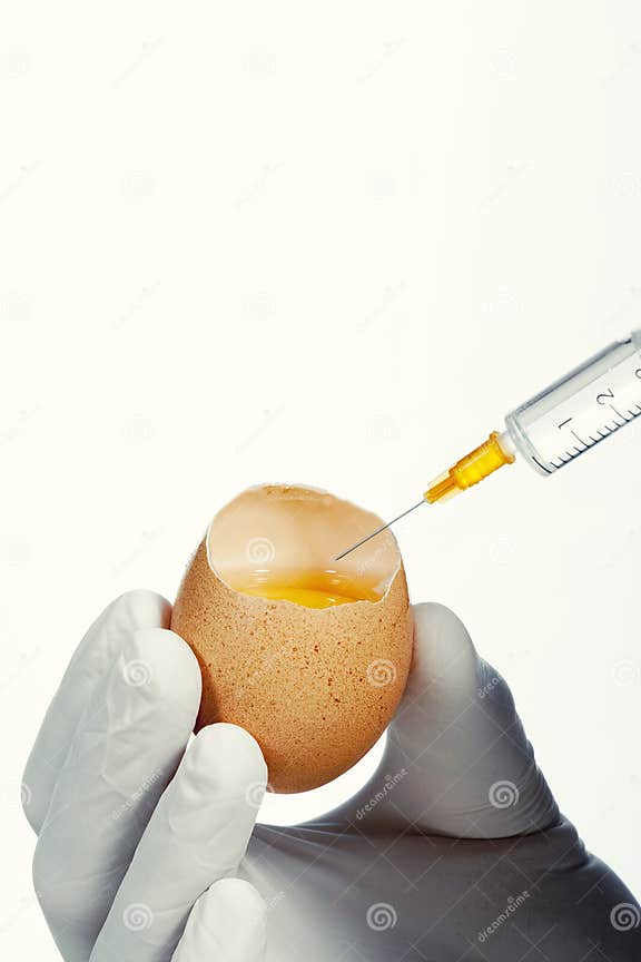 Syringe injecting egg stock image. Image of drugs, laboratory - 8417451
