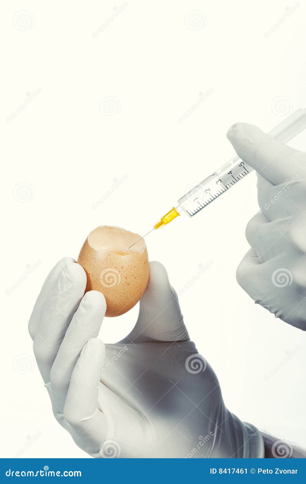 Syringe injecting egg stock image. Image of growing, nature - 8417461