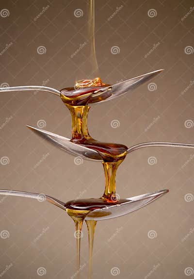 Syrup stock photo. Image of cream, fresh, sweet, warm - 6777480