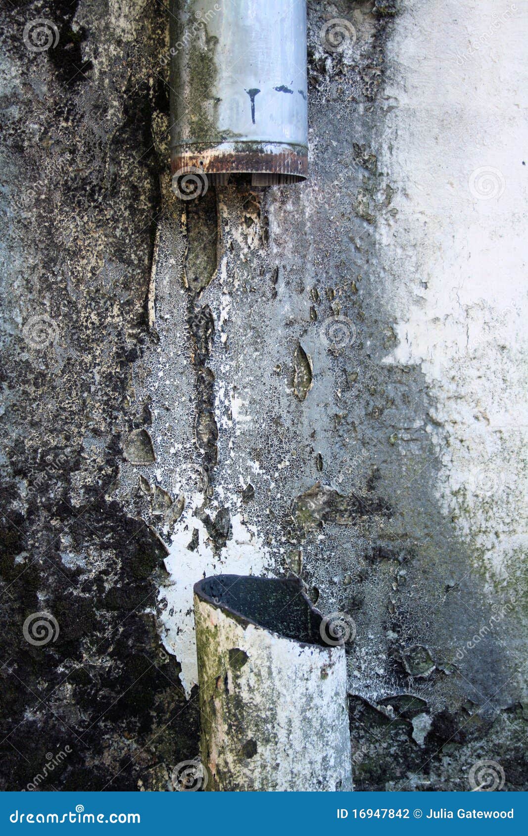 System Disconnect stock photo. Image of round, system - 16947842