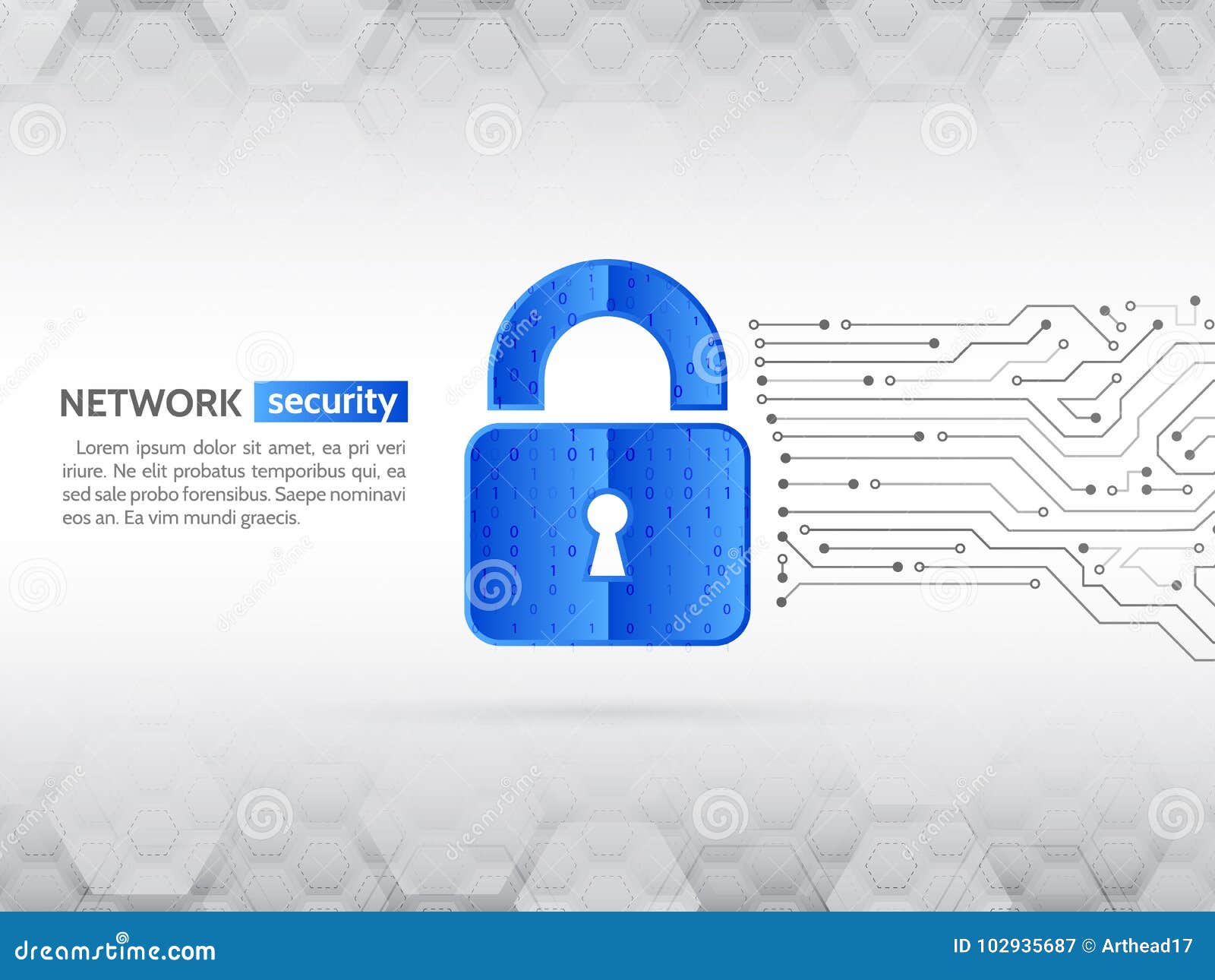 System Privacy, Network Security. Abstract High Tech Circuit Board ...