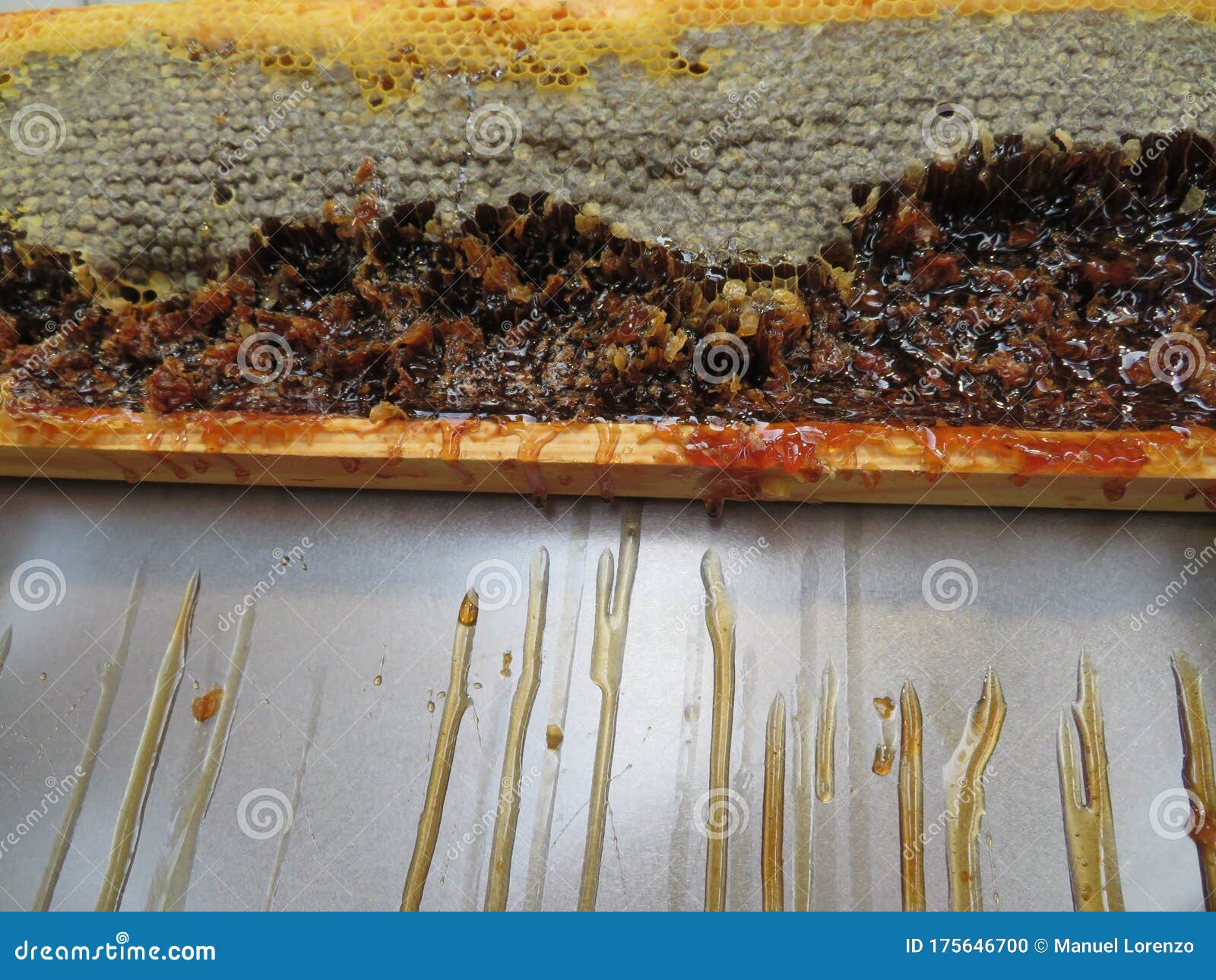 System of Processing of Honey Practically Artisan and of Very Good ...