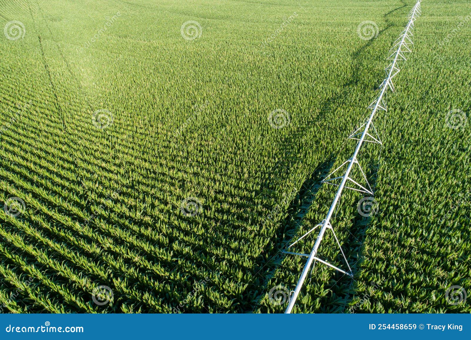 System To Water Crops on the Farm Stock Image - Image of countryside ...