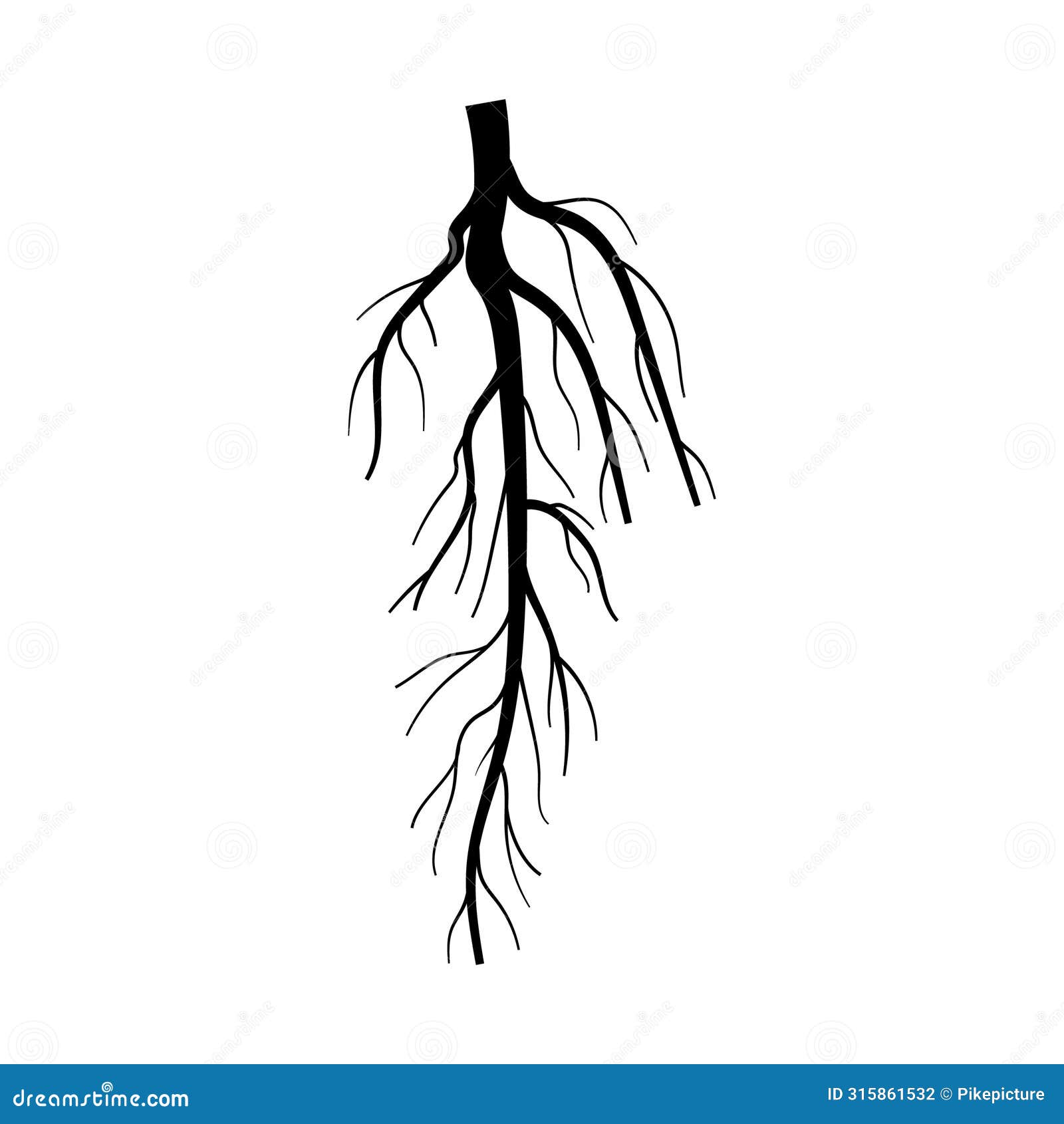 System Tree Root Cartoon Vector Illustration Stock Illustration ...