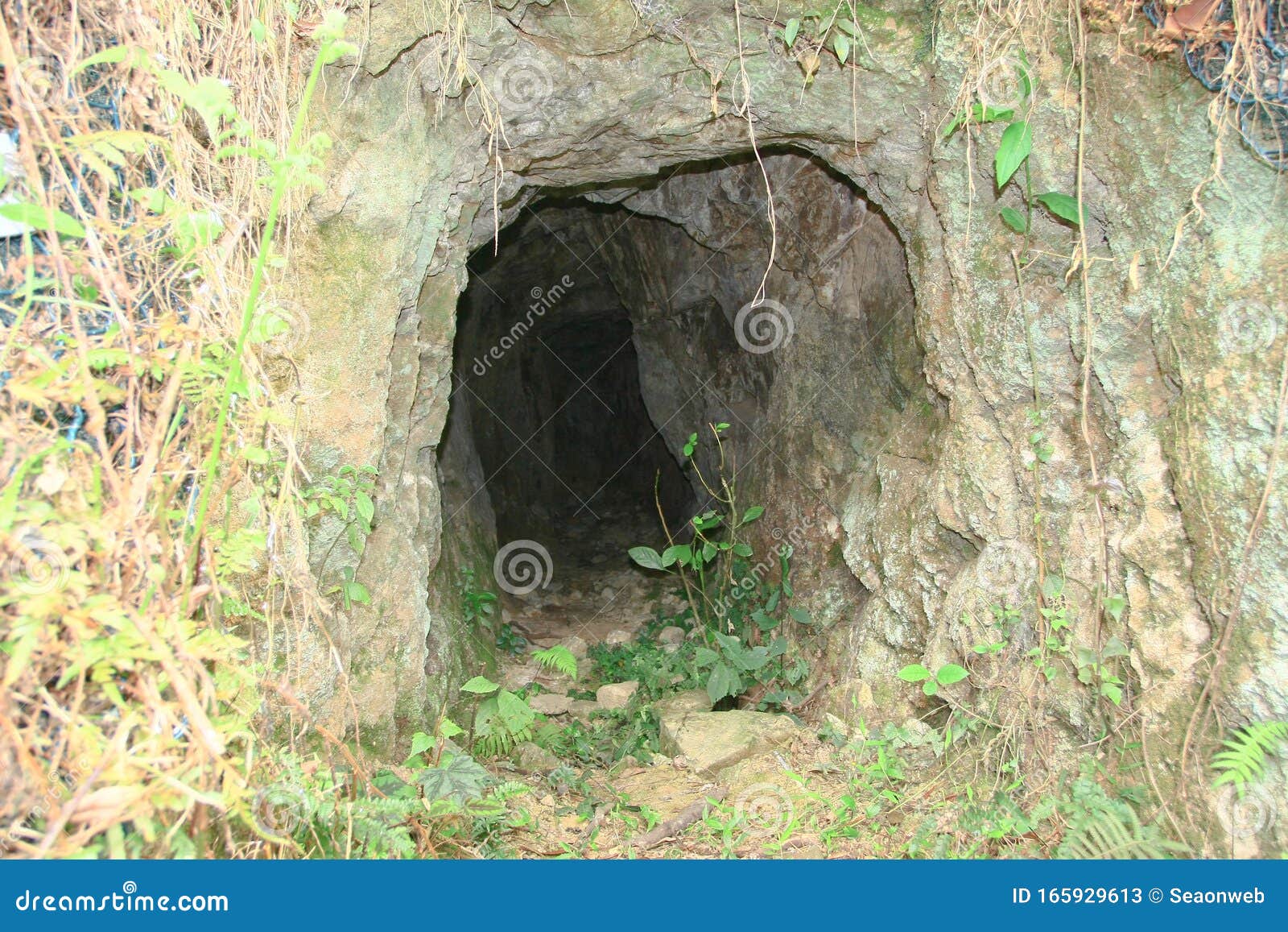 The System of Underground Passages and Holes Stock Image - Image of ...