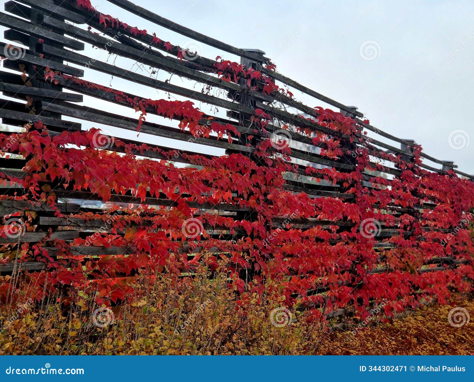 Systems with Output from Several Tens of KW To Several MW. Stock Image ...