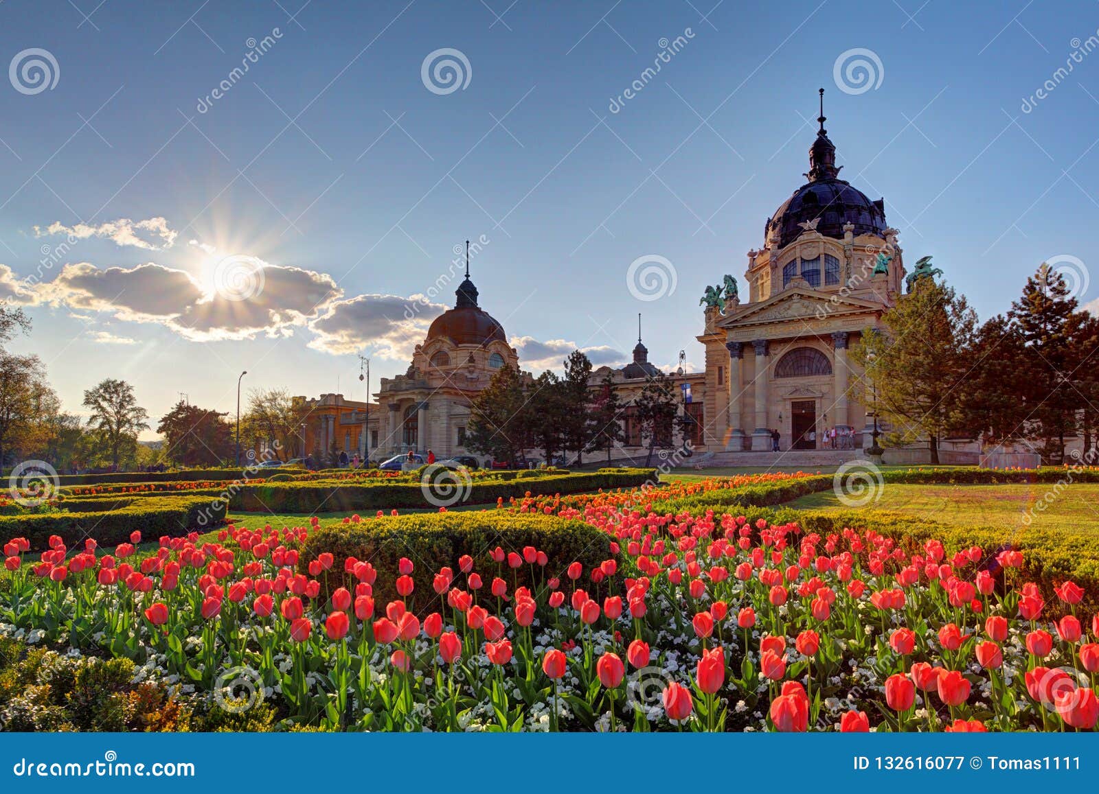 Szechenyi Spa with Flower - Budapest, Hungary Stock Image - Image of ...