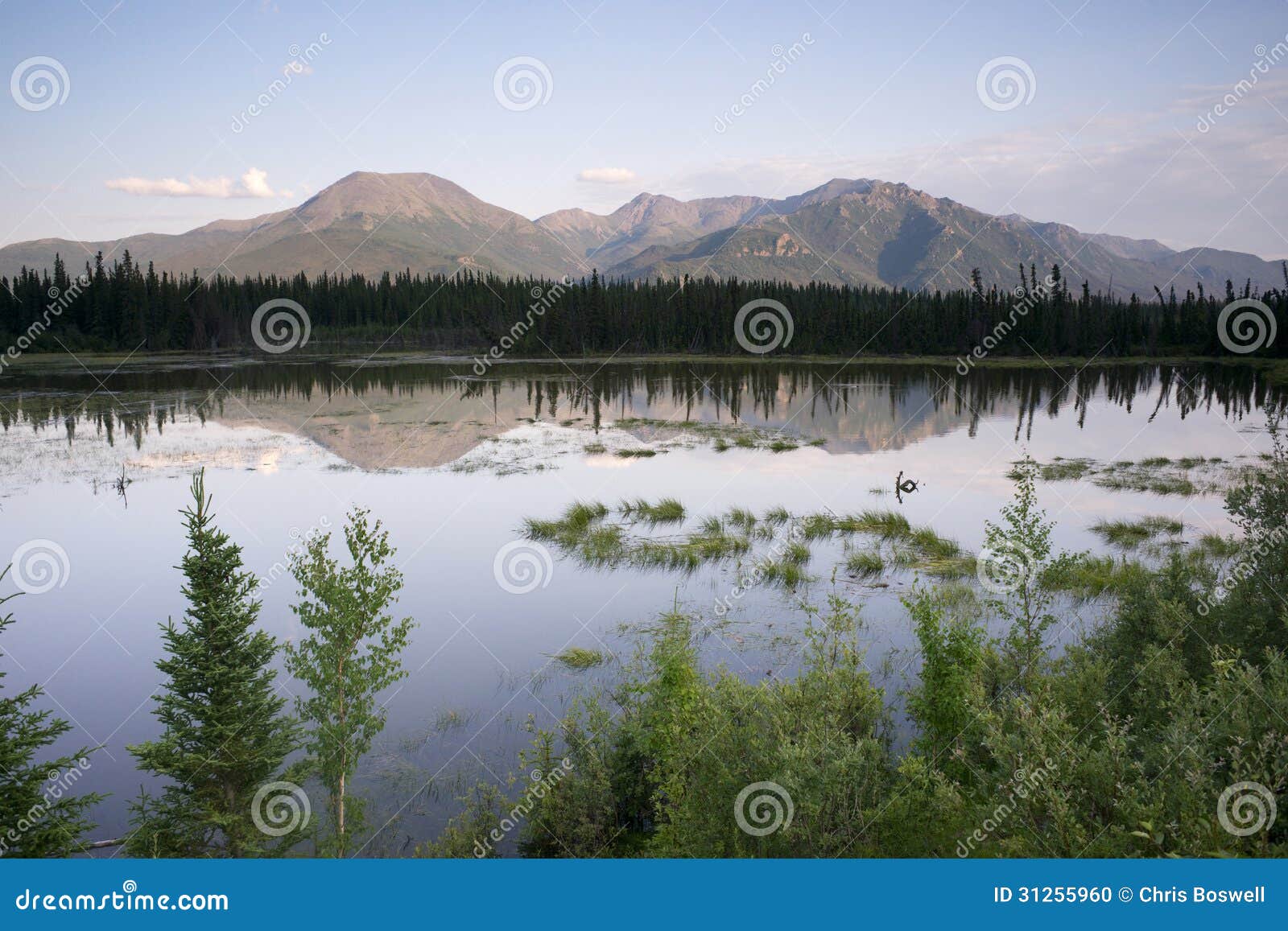 Szenisches Marsh Water Panoramic Mountain Landscape-Hinterland Alaska ...